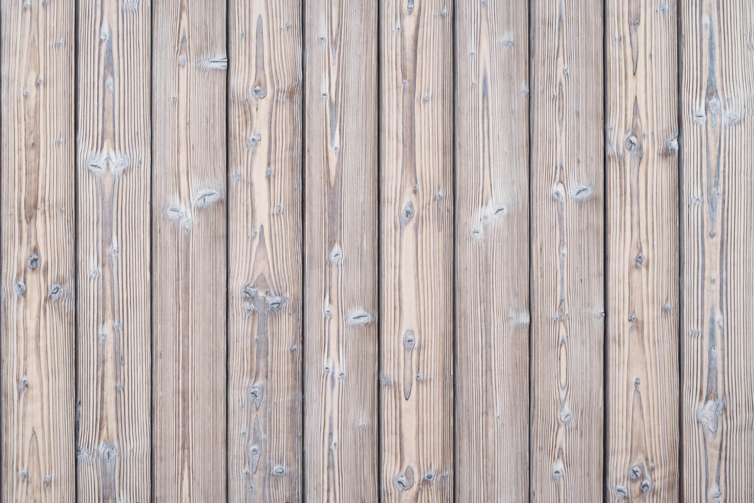 Shou Sugi Ban, Charred Wood for Sale | Degmeda